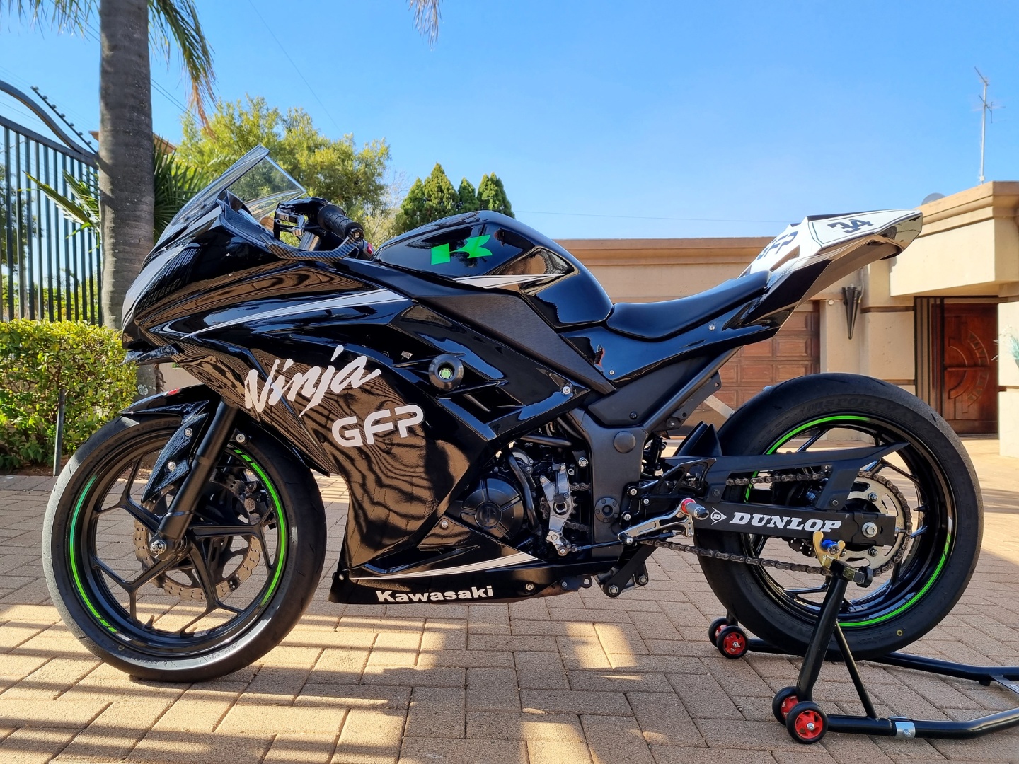 Ninja 300 Custom